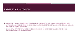 mutation and polyploidy and hybridization by D. Divyabharathi (U21BP014 ...