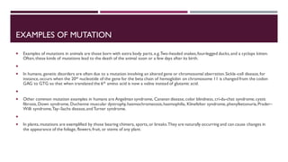 mutation and polyploidy and hybridization by D. Divyabharathi (U21BP014 ...