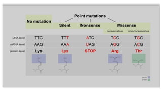 mutation and polyploidy and hybridization by D. Divyabharathi (U21BP014 ...