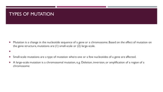 mutation and polyploidy and hybridization by D. Divyabharathi (U21BP014 ...