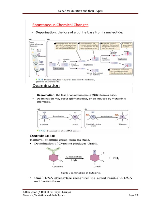Mutation and their Types # Spontaneous Mutation# Induced Mutation | PDF