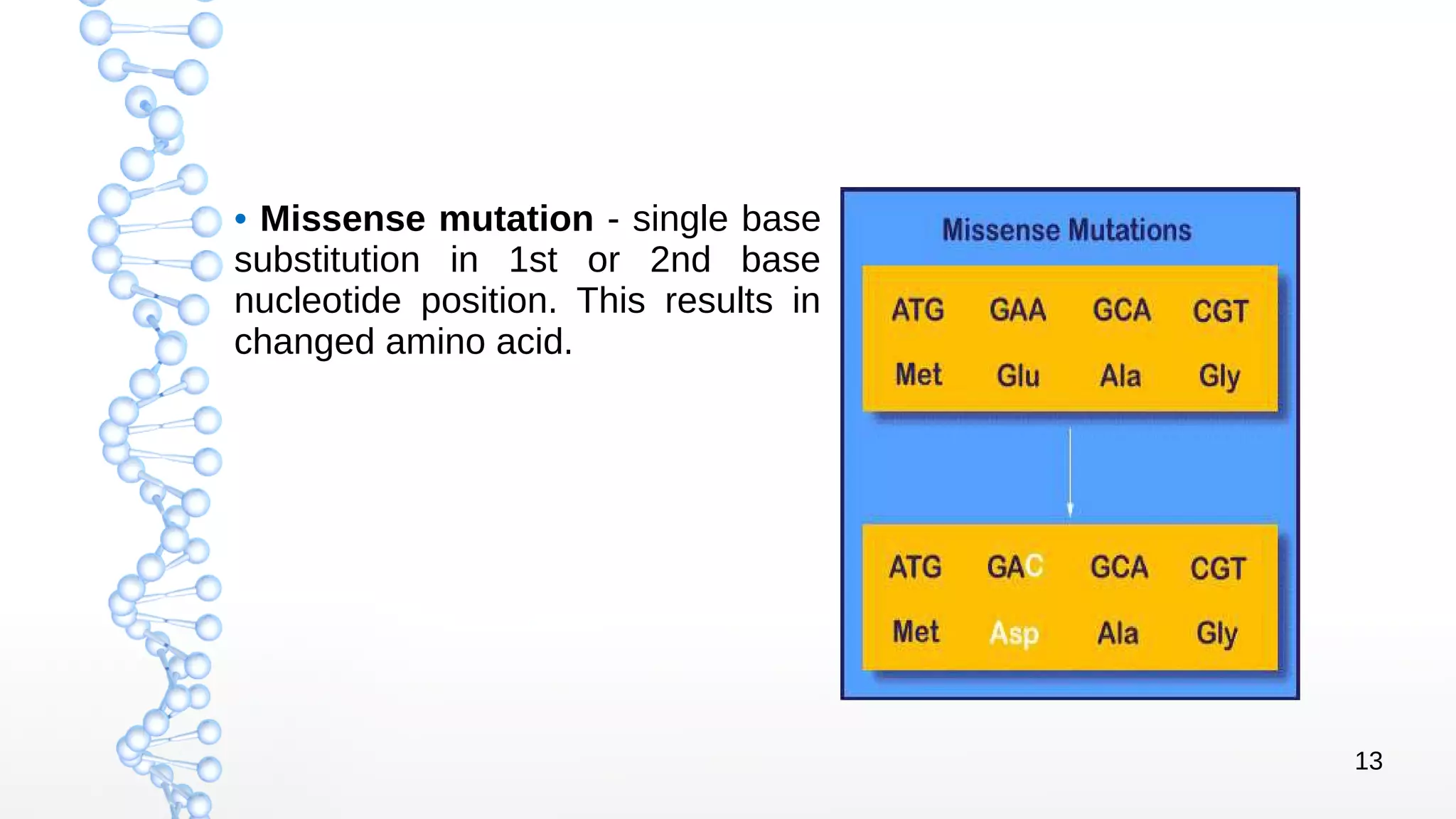 Mutation And Assay Of Mutagenesis Ppt