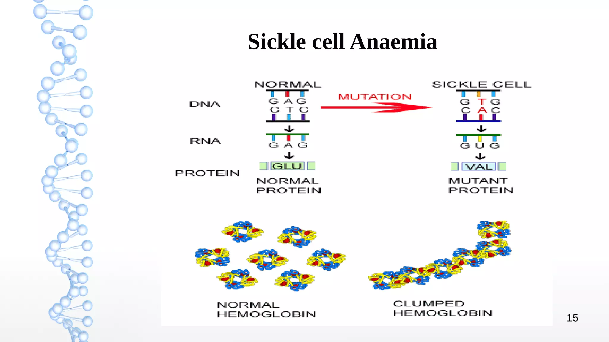 Mutation and Assay of Mutagenesis | PPT