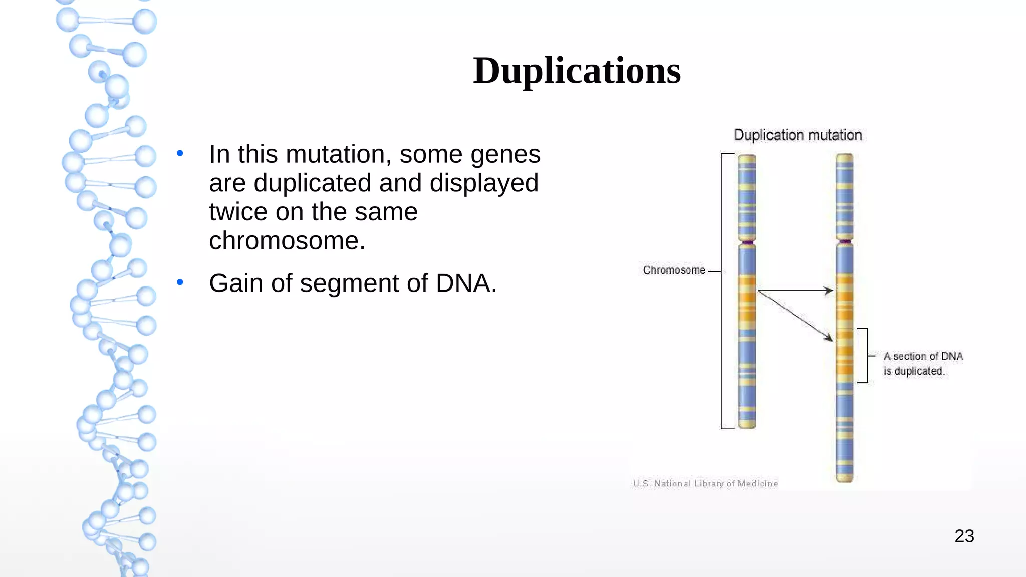 Mutation and Assay of Mutagenesis | PPT