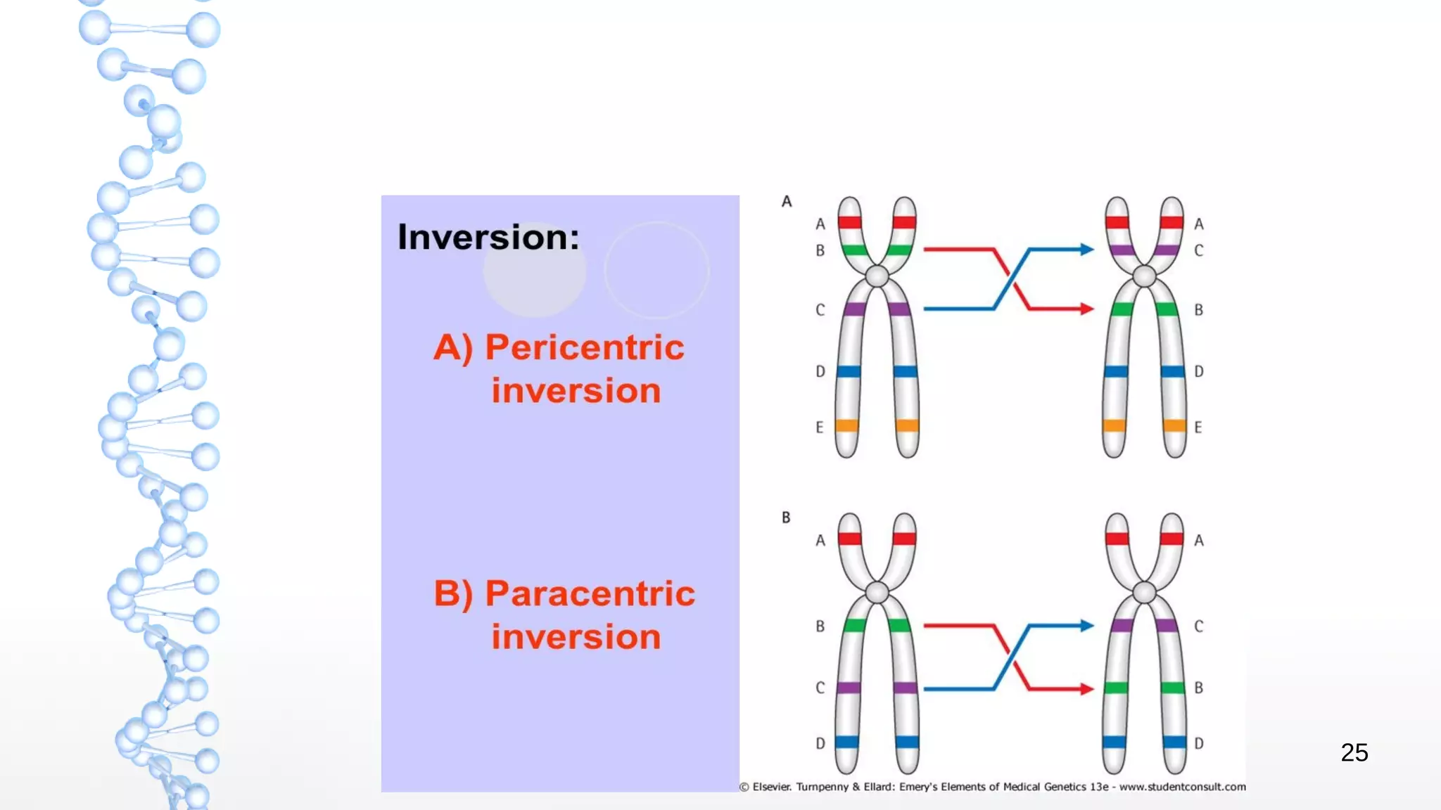 Mutation And Assay Of Mutagenesis Ppt
