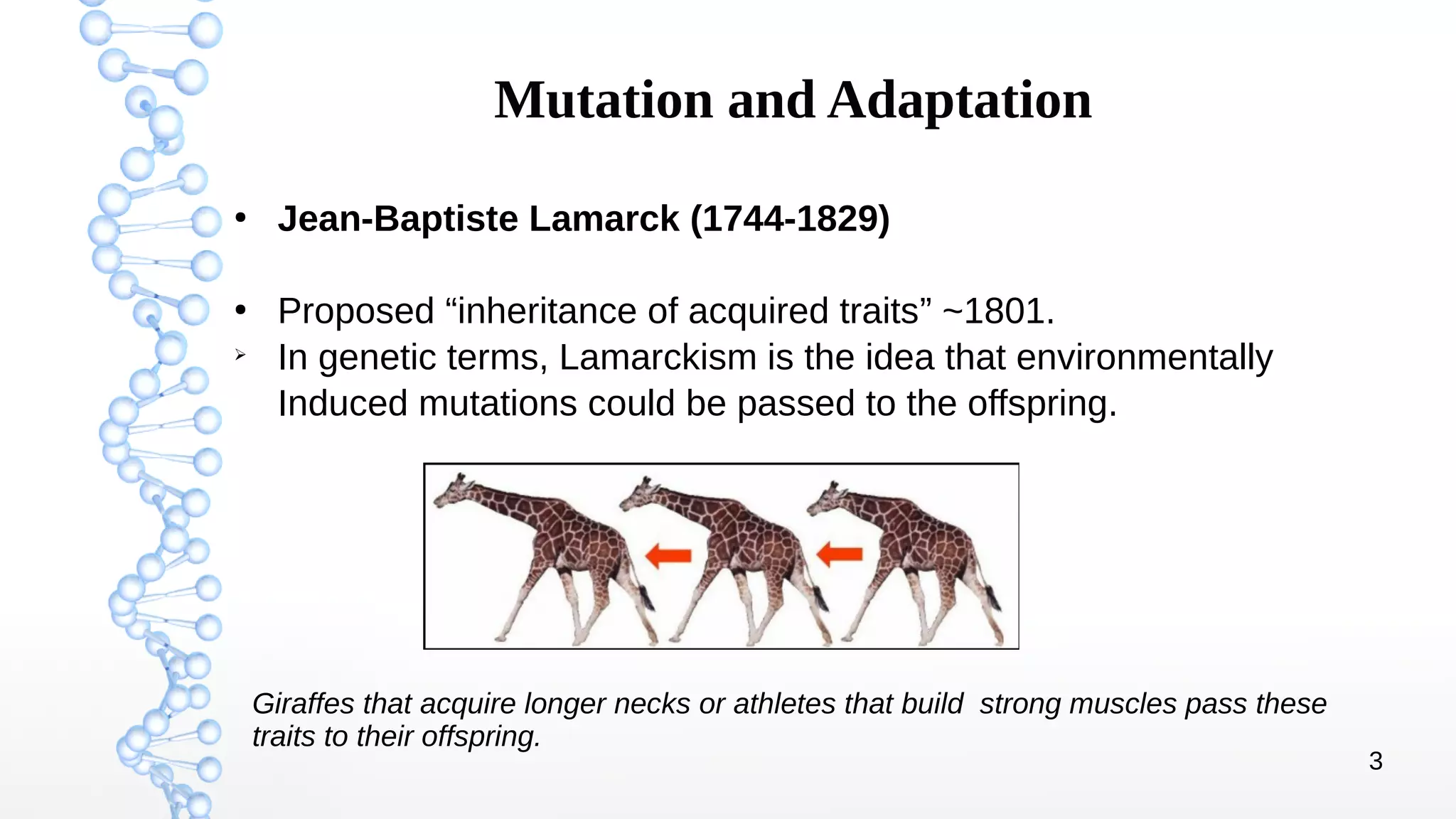 Mutation And Assay Of Mutagenesis Ppt