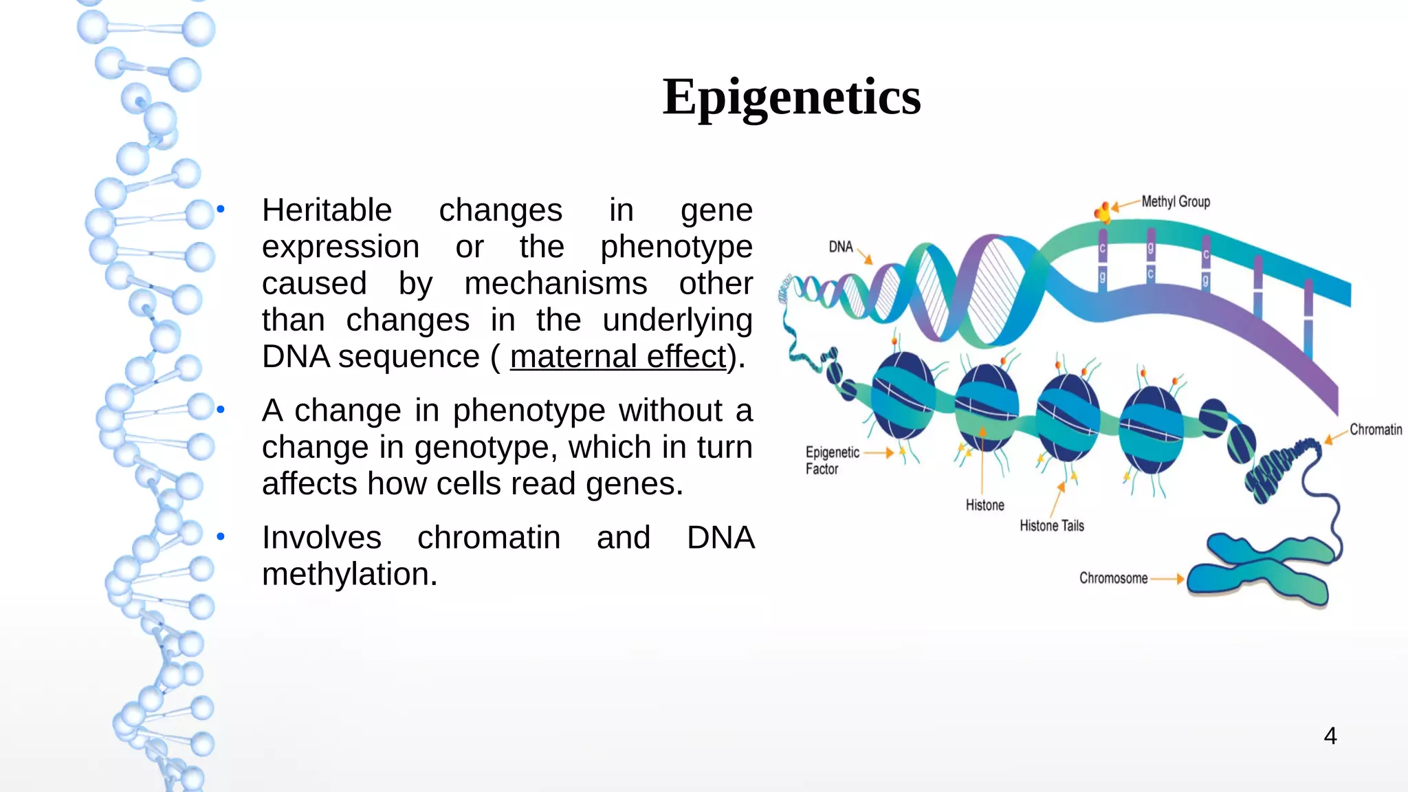 Mutation And Assay Of Mutagenesis Ppt