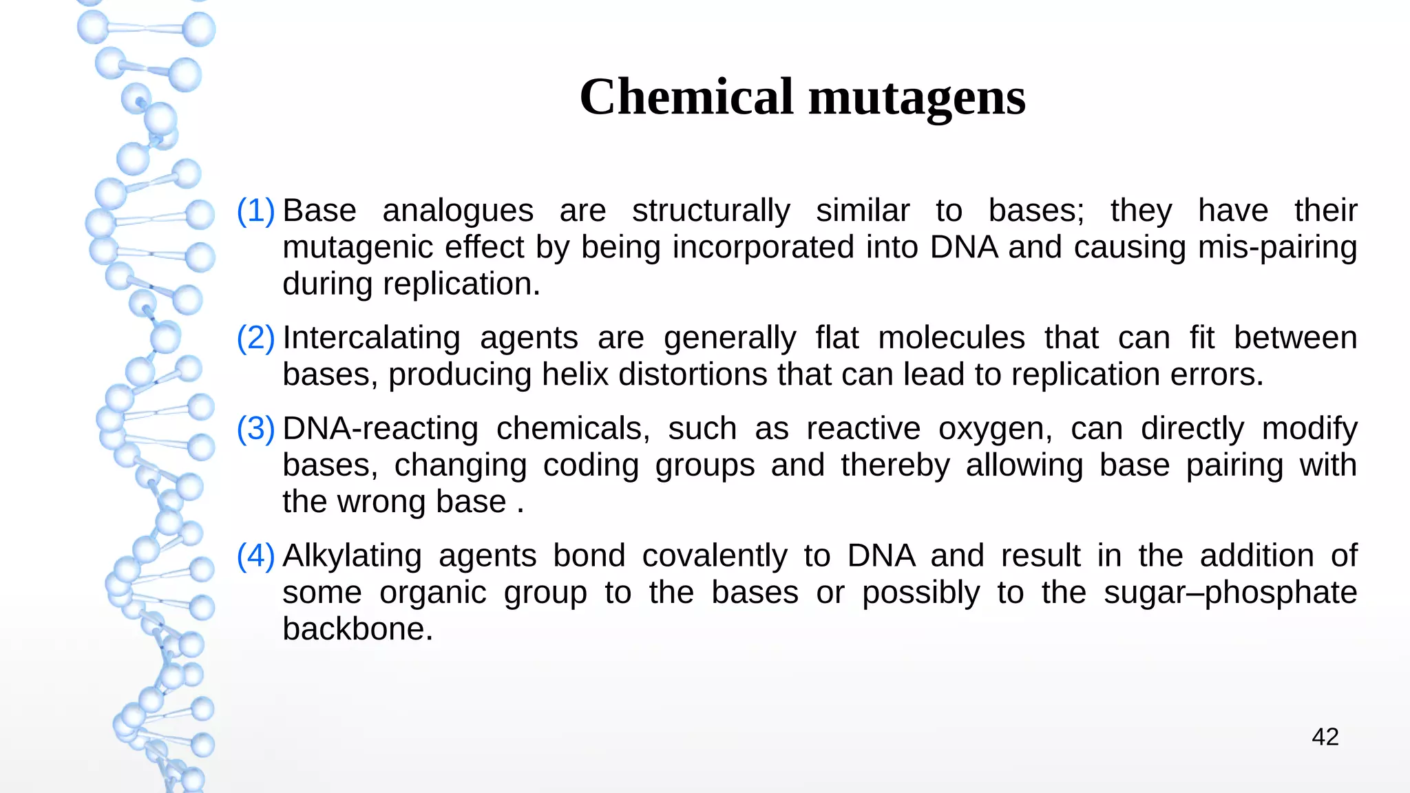 Mutation And Assay Of Mutagenesis Ppt