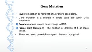 Mutation and Assay of Mutagenesis | PDF