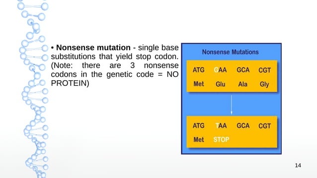 Mutation and Assay of Mutagenesis | PPT