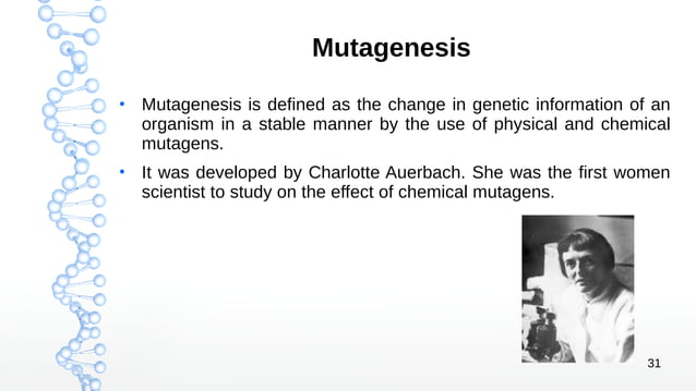 Mutation and Assay of Mutagenesis | PPT
