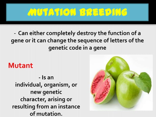 Mutation Breeding | PPT