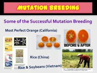 Mutation Breeding | PPT