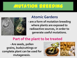 Mutation Breeding | PPT