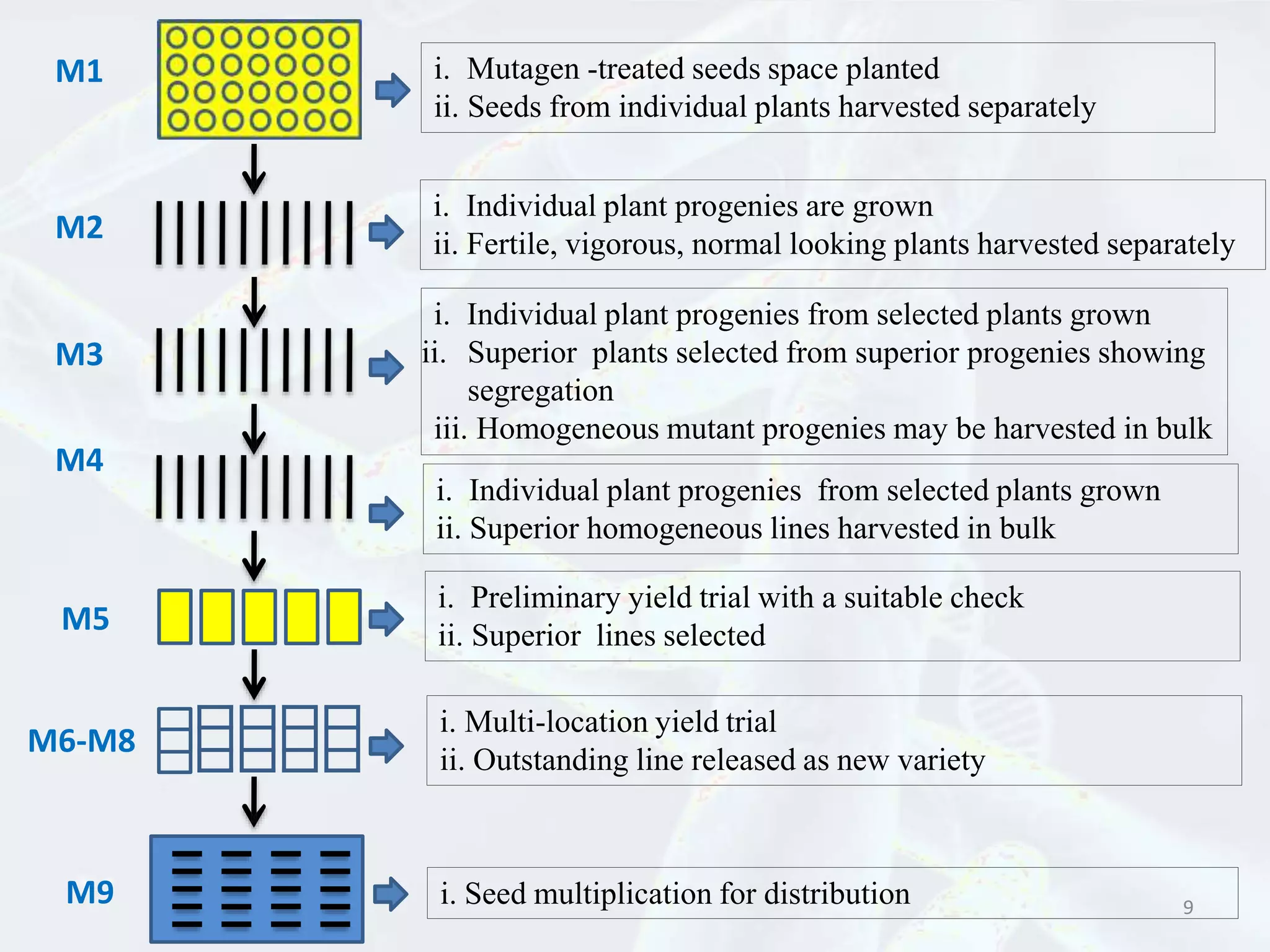 Mutation breeding | PPTX