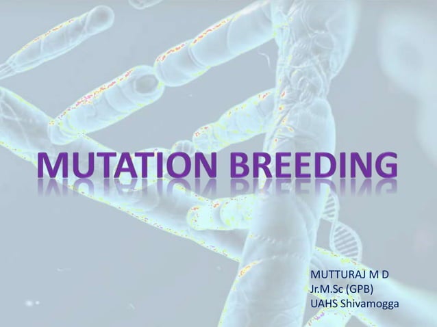 Mutation breeding | PPT