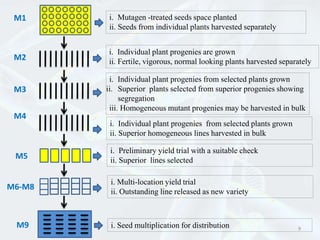 Mutation breeding | PPTX
