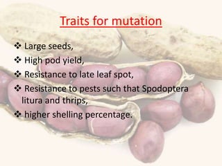 Mutation breeding of crops | PPTX