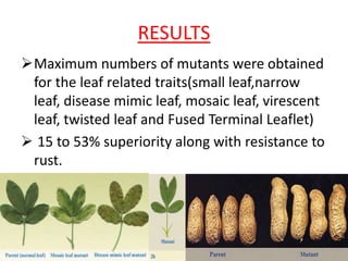 Mutation breeding of crops | PPTX