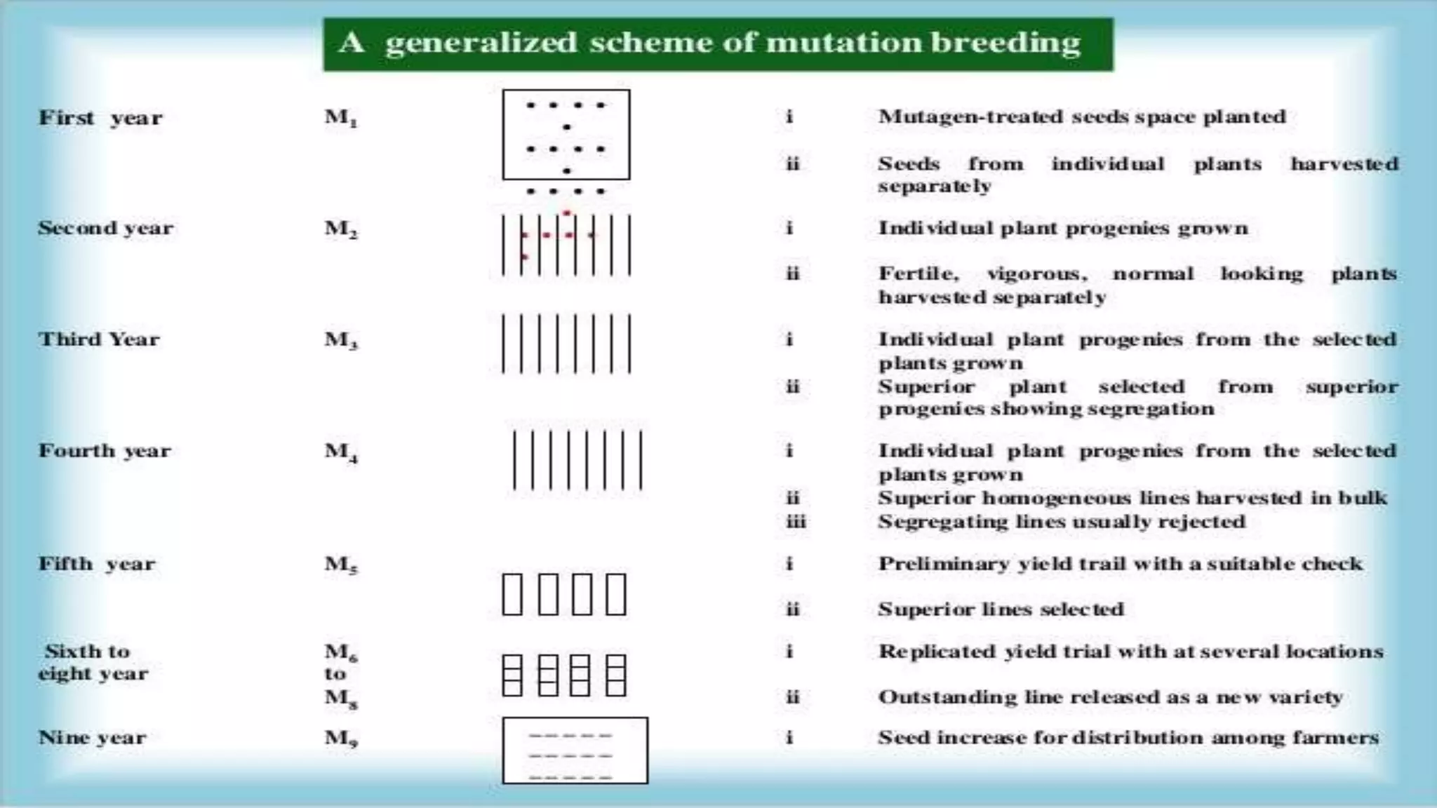 Mutation breeding in Plants | PPTX
