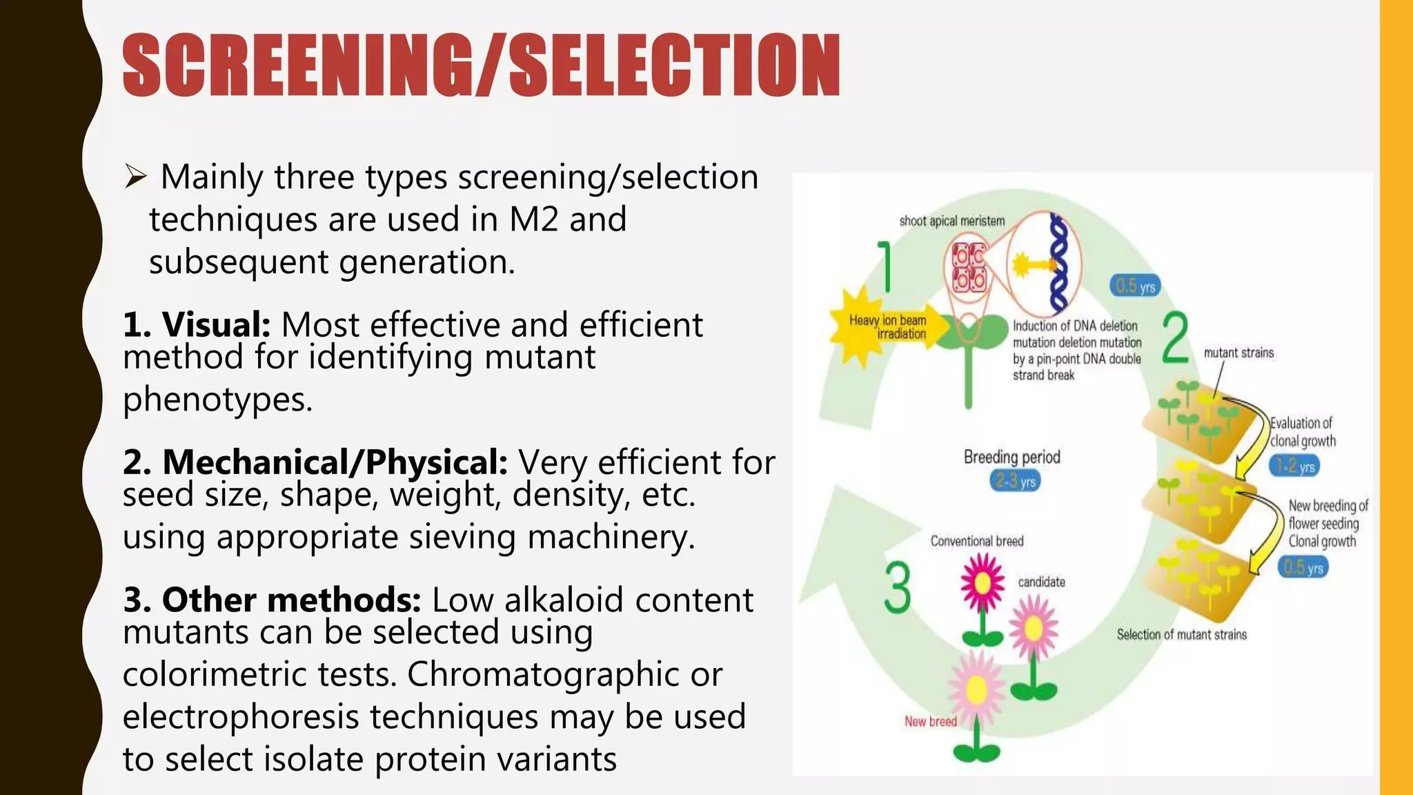 Mutation breeding in Plants | PPTX
