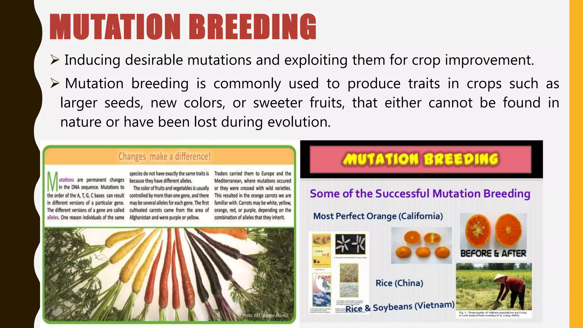 Mutation breeding in Plants | PPTX