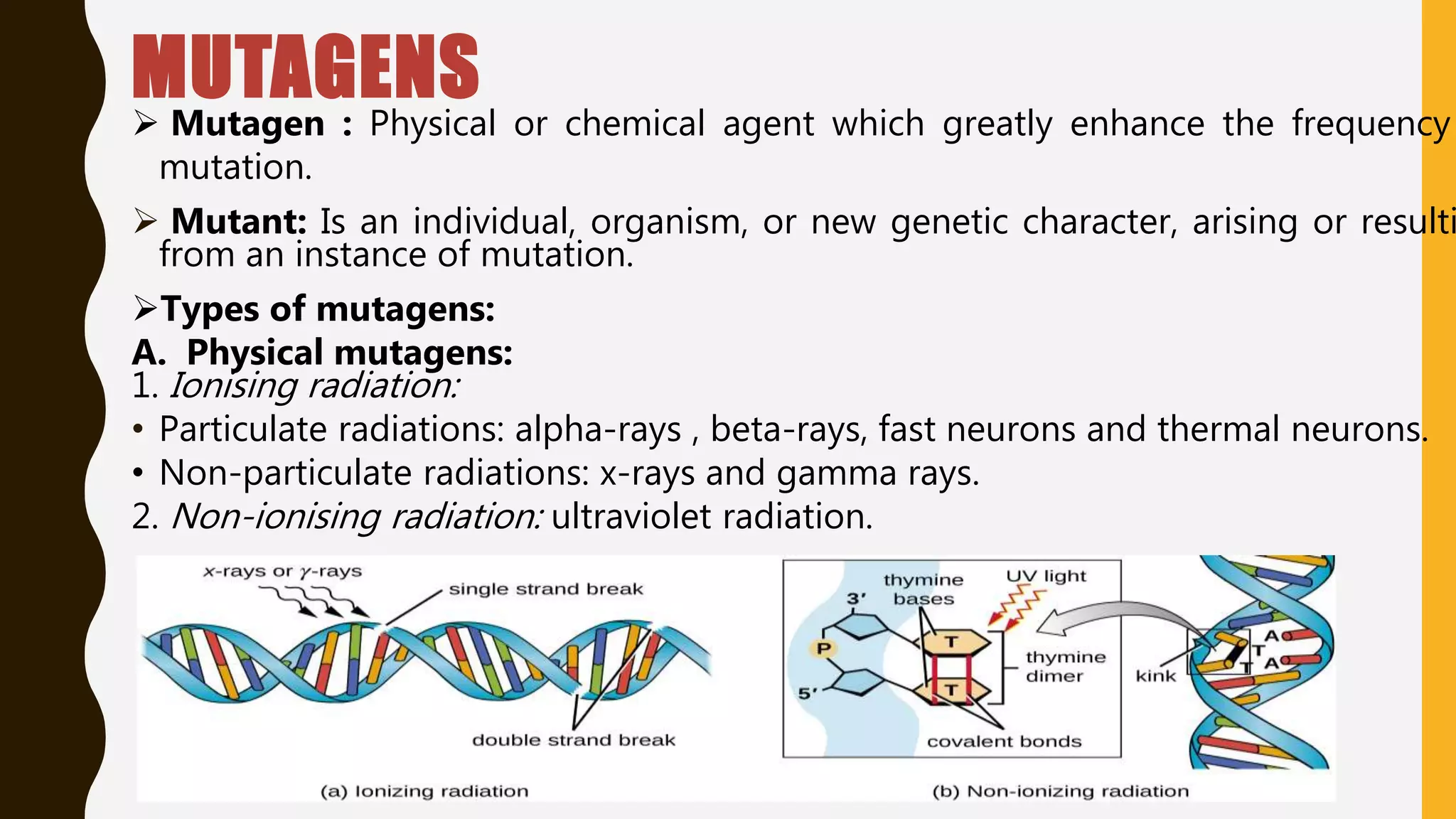 Mutation breeding in Plants | PPTX
