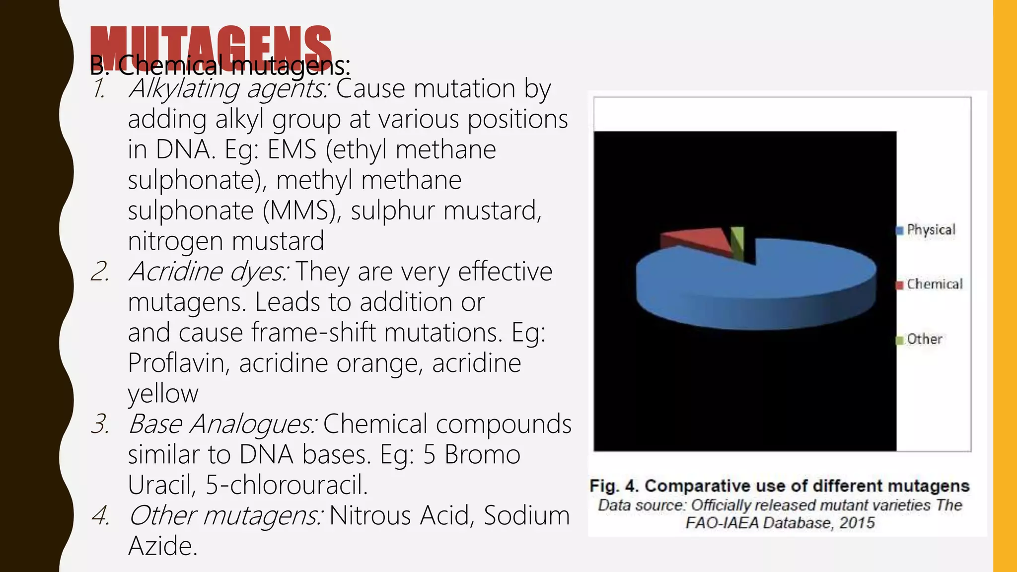 Mutation breeding in Plants | PPTX