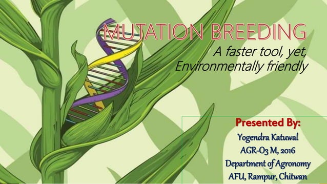 Mutation breeding in Plants | PPTX | Infertility | Reproductive Health