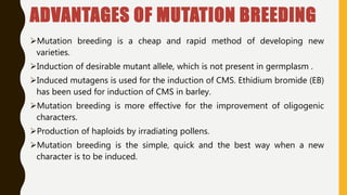 Mutation breeding in Plants | PPTX