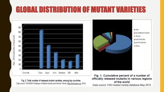 Mutation breeding in Plants | PPTX