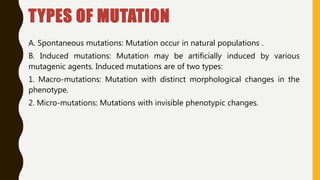Mutation breeding in Plants | PPTX