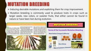 Mutation breeding in Plants | PPTX