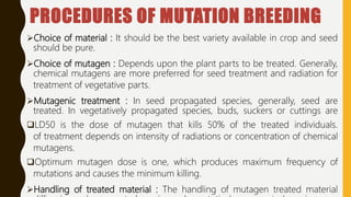 Mutation breeding in Plants | PPTX