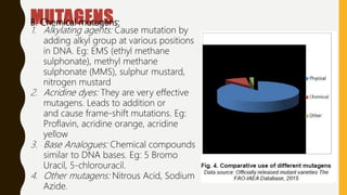 Mutation breeding in Plants | PPTX