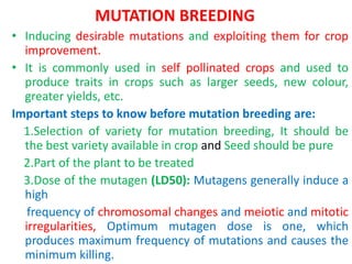 Mutation breeding | PPT