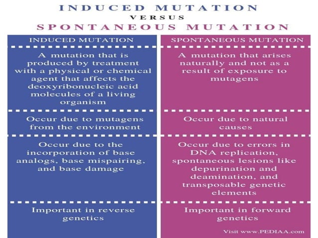 Mutation breeding | PPT
