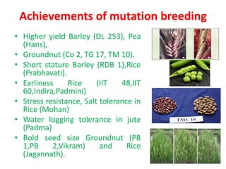 Mutation breeding | PPT