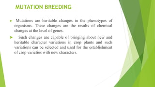 Mutation breeding | PPTX