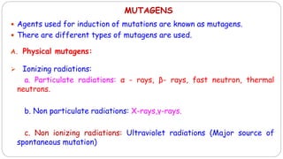 Mutation breeding | PPT