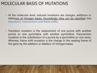 mutation breeding.ppt