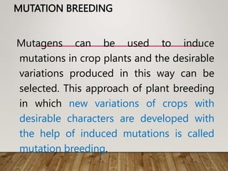 mutation breeding.ppt
