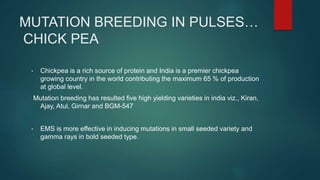 Mutation Breeding.pptx