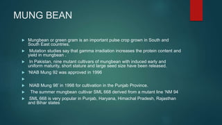 Mutation Breeding.pptx