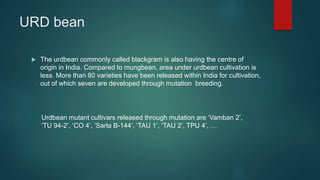 Mutation Breeding.pptx