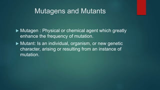 Mutation Breeding.pptx