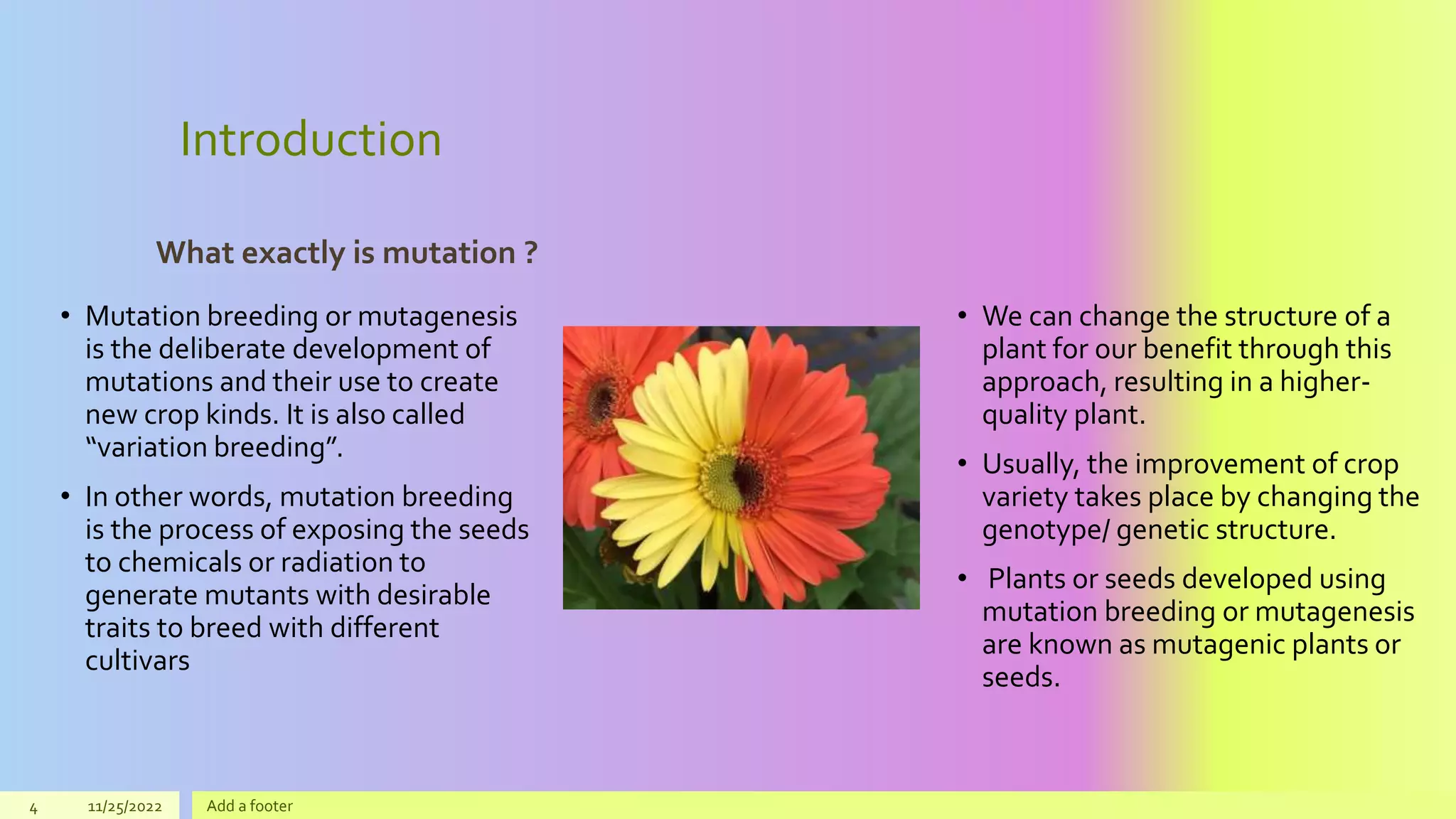 Mutation breeding.pptx
