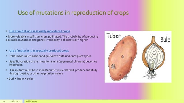 Mutation breeding.pptx