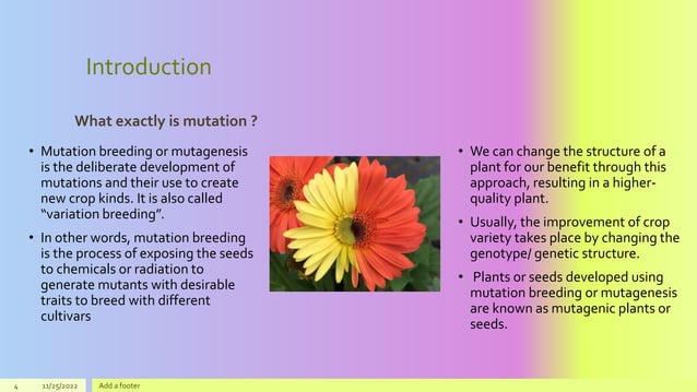 Mutation breeding.pptx