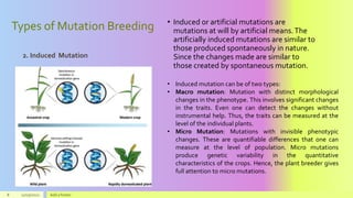 Mutation breeding.pptx
